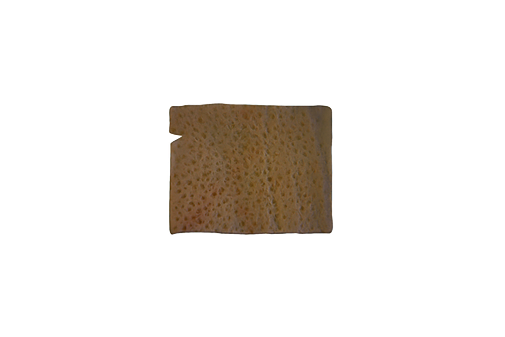 Shop Symbios dental products online | Dentsply Sirona USA