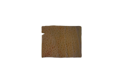 Symbios PerioDerm Acellular Dermis