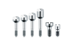 Friadent MP Screw: Shop online | Dentsply Sirona USA