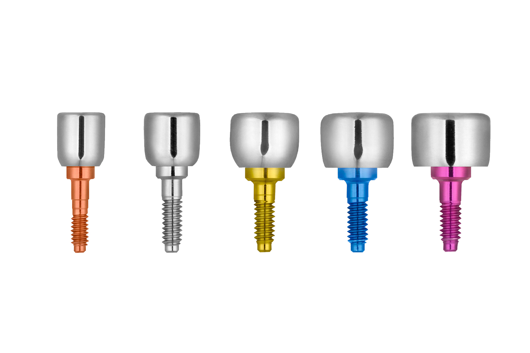 Friadent Gingiva Former