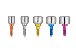 Friadent Gingiva Former