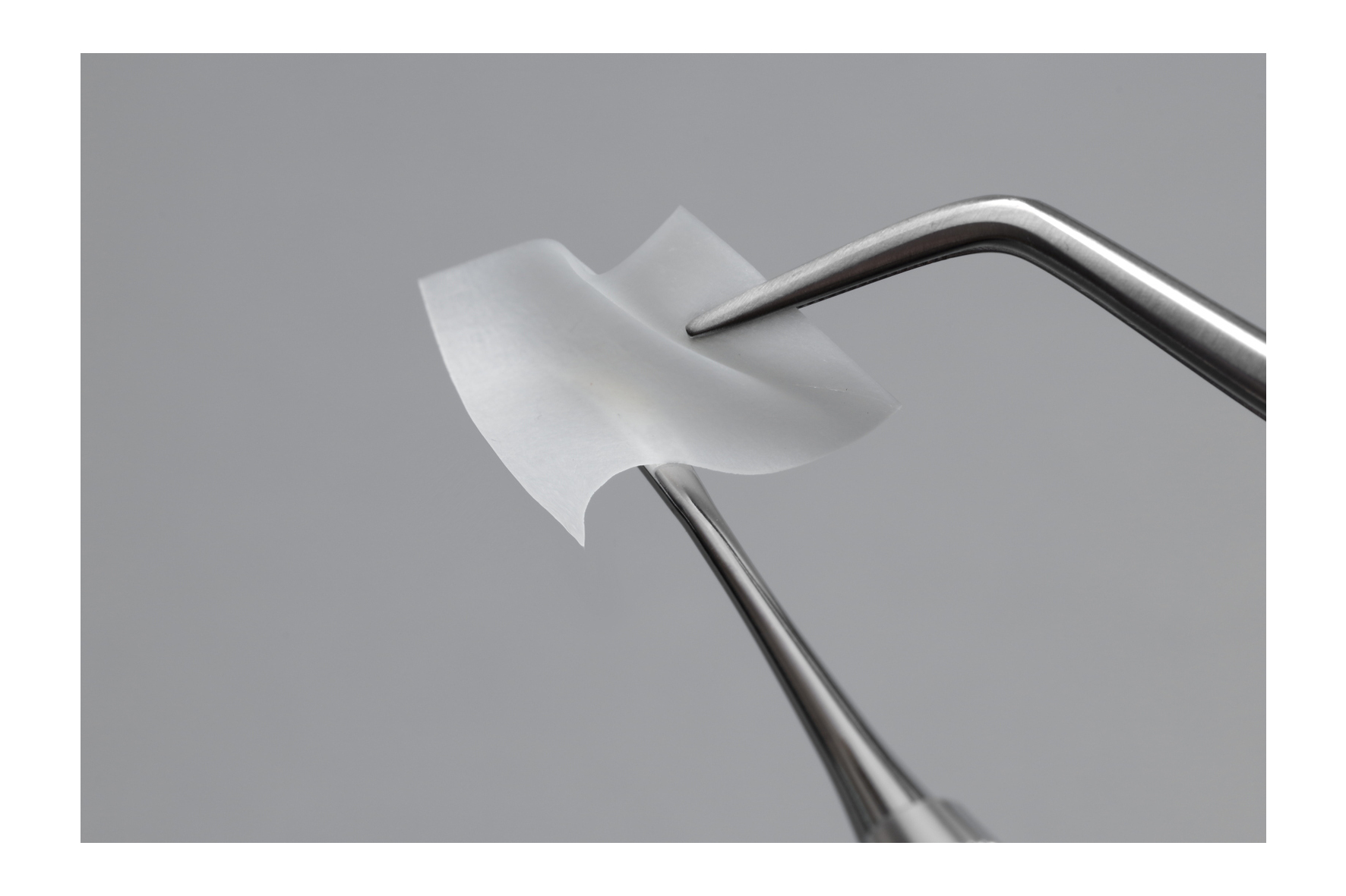 Symbios Collagen Membrane Pre-hydrated