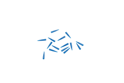 SofTip Disposable Prophy Tips