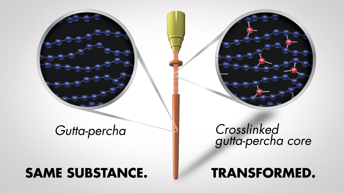 GuttaCore Obturatoren | Dentsply Sirona DE