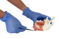 OSSIX Agile: Discover now! | Dentsply Sirona Canada