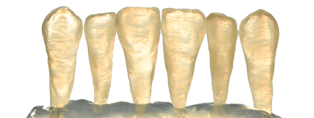 Celtra Press | Dentsply Sirona Croatia