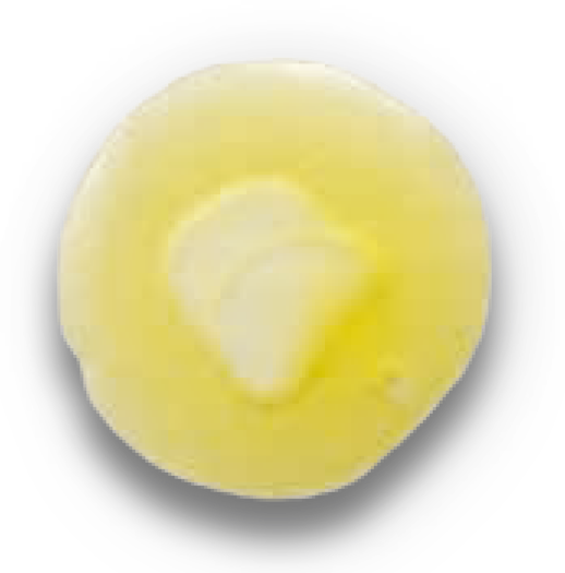 Prime&Bond active® | Universal Dental Adhesive | Dentsply Sirona Sweden
