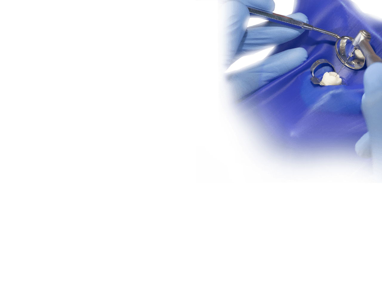 Endodontics Course Series I Dentsply Sirona USA