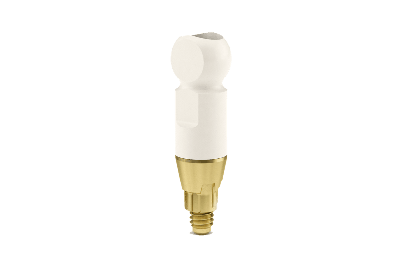 Provisionalizing and Restoring Implants with CEREC USA