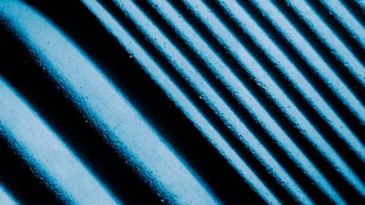 DS Primetaper | Dentsply Sirona USA