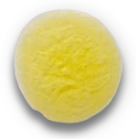 Prime&Bond active® | Universal Dental Adhesive | Dentsply Sirona USA