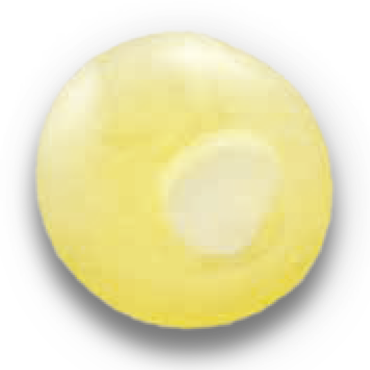 Prime&Bond Active: Universal Dental Adhesive | Dentsply Sirona USA