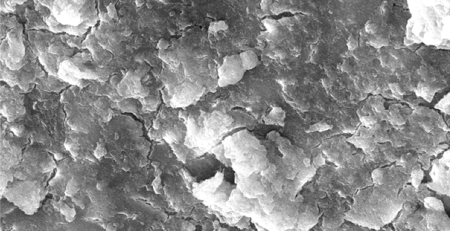 SmartLite Pro EndoActivator | Dentsply Sirona