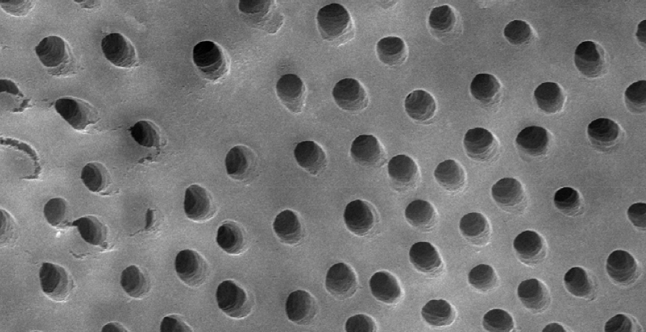 SmartLite Pro EndoActivator | Dentsply Sirona