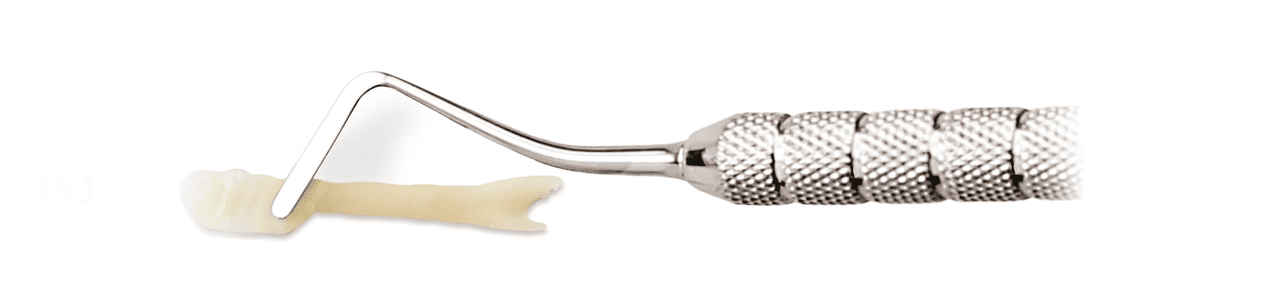 TPH Spectra® ST Family | Dentsply Sirona USA