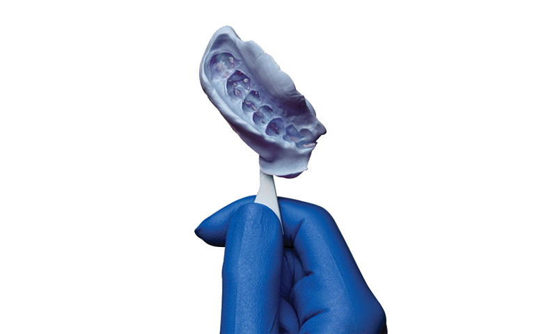 Integrity Multi•Cure I Dentsply Sirona España