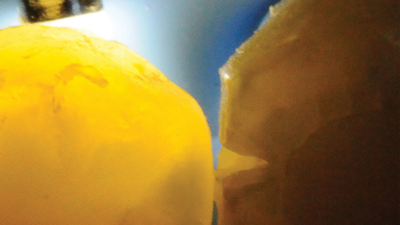 SmartLite Pro: Lámpara de polimerización dental | Dentsply Sirona España