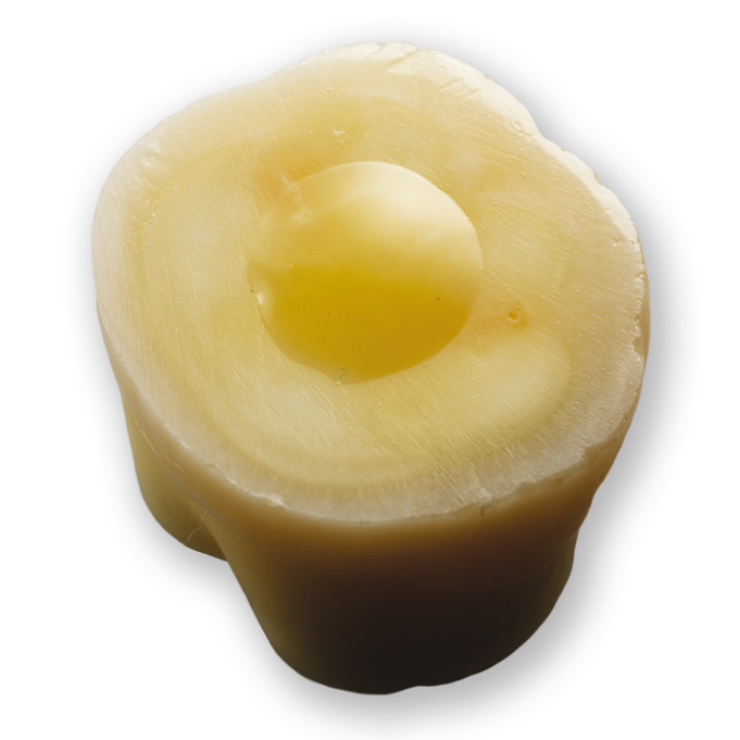 Prime&Bond universal: Adhesivo dental universal | Dentsply Sirona México