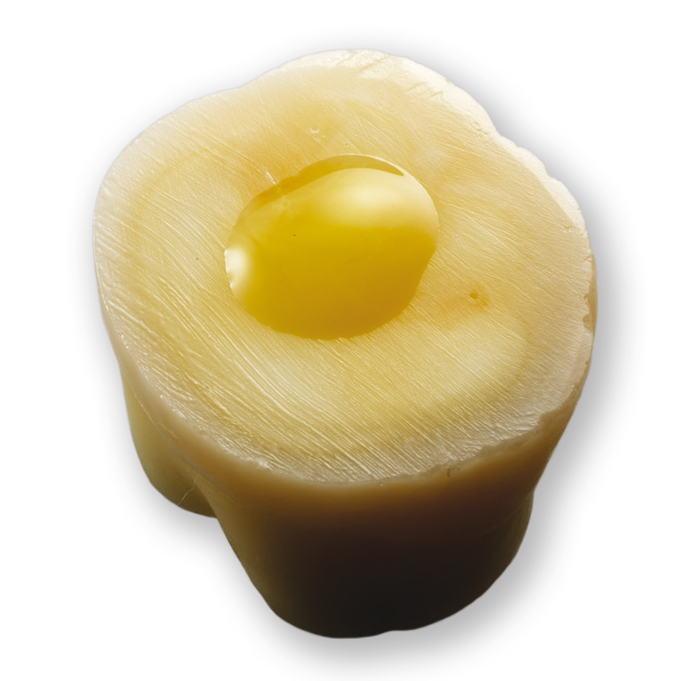 Prime&Bond Active : Adhésif dentaire universel | Dentsply Sirona Canada