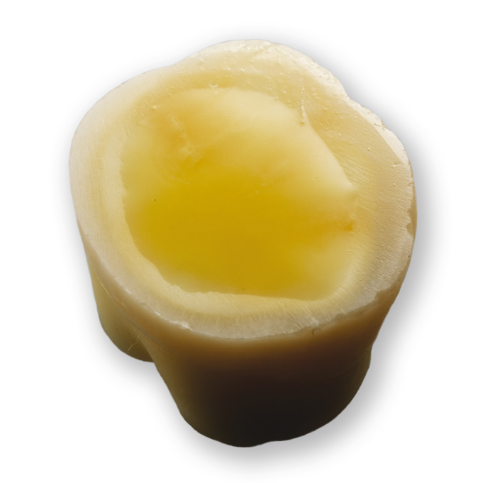 Prime&Bond Active : Adhésif Dentaire Universel | Dentsply Sirona France