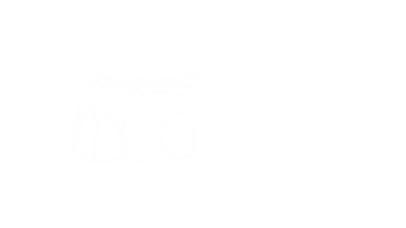 Flux de travail pour restauration complète | Dentsply Sirona France